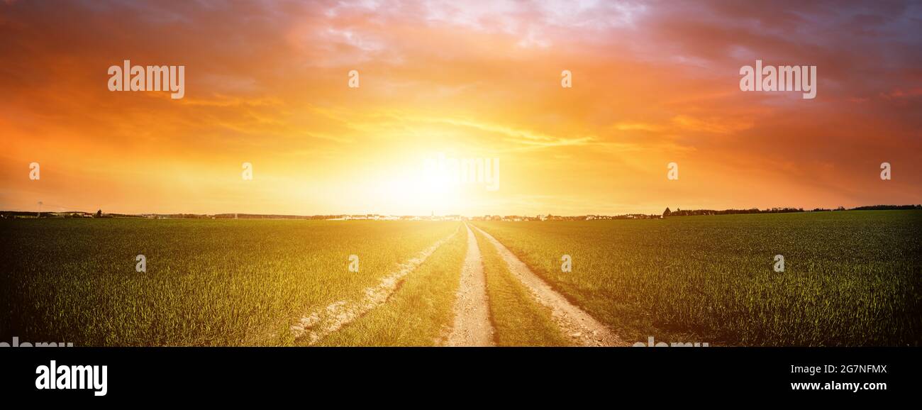 Panorama of green field with dirt road and sunset sky. Summer rural ...