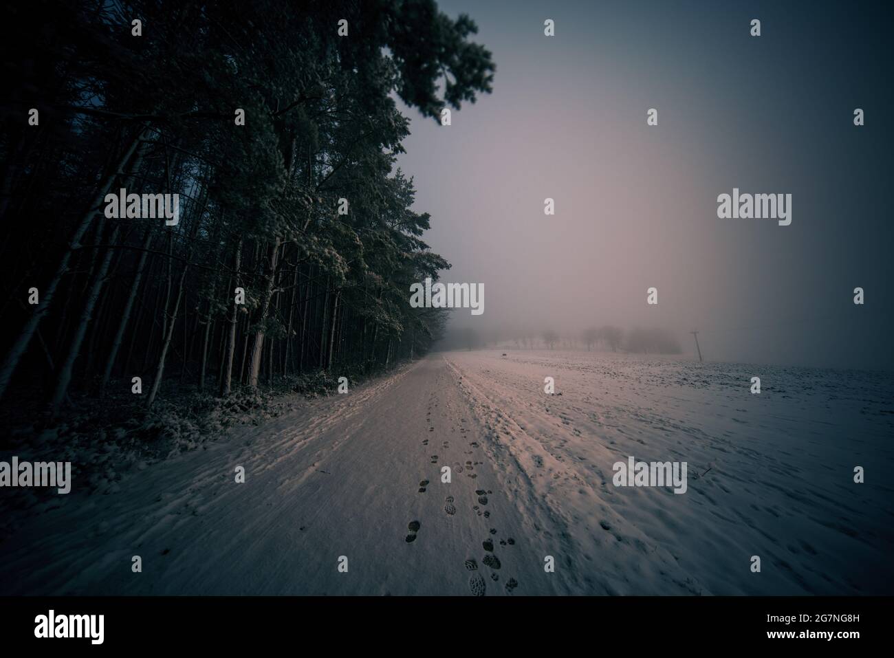 Night landscape with forest and road in fog, toned photo Stock Photo ...