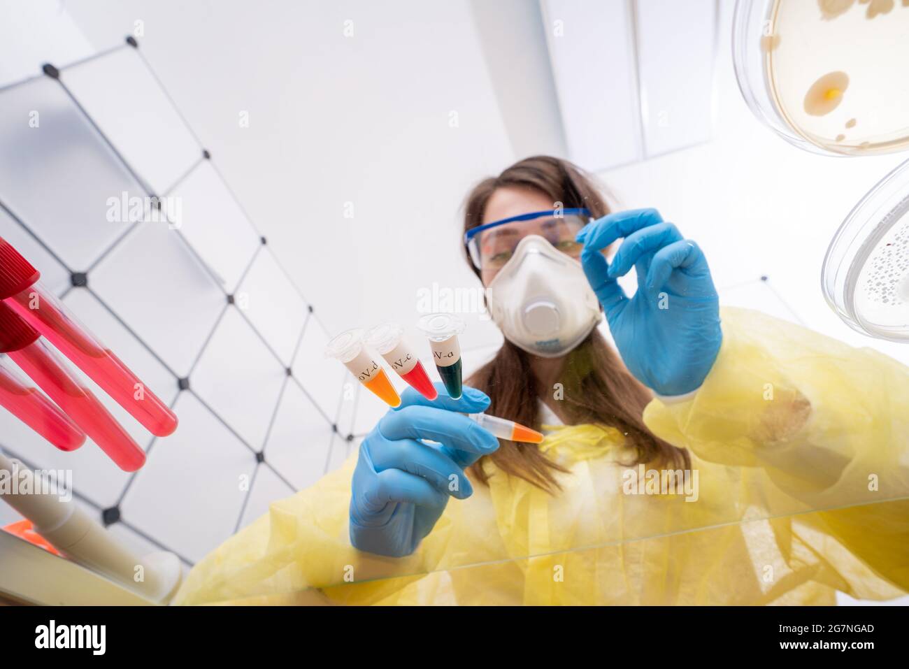 Young woman with a microtube for PCR test Stock Photo - Alamy