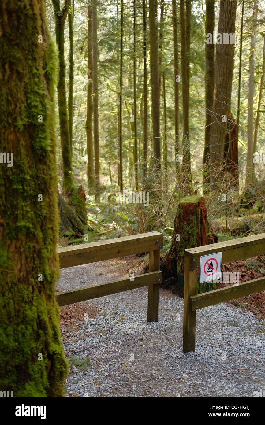 A barrier at the entrance of a walking path in a lush green forest ...
