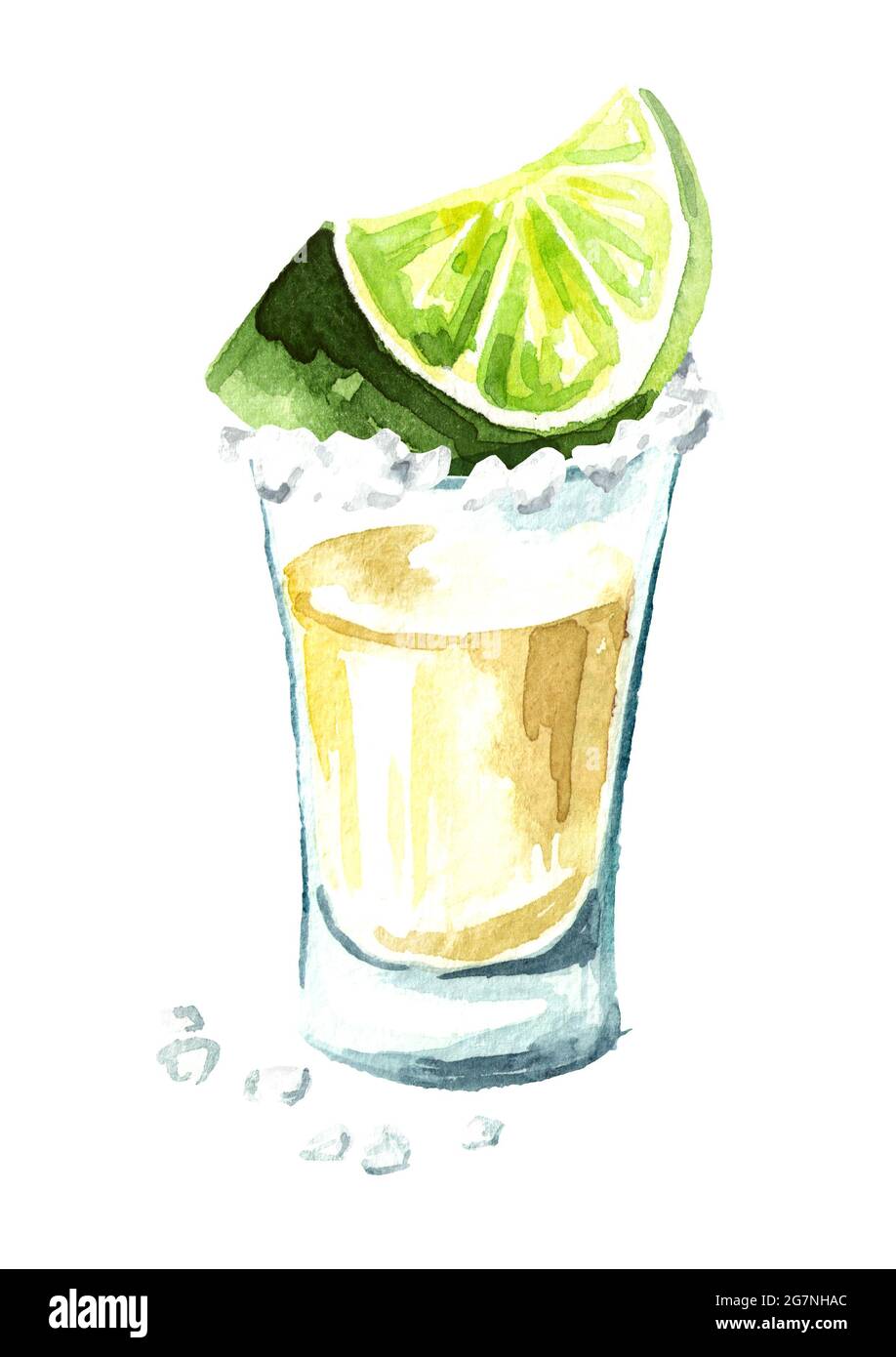 Tequila shot with lime and salt. Hand drawn watercolor vertical ...