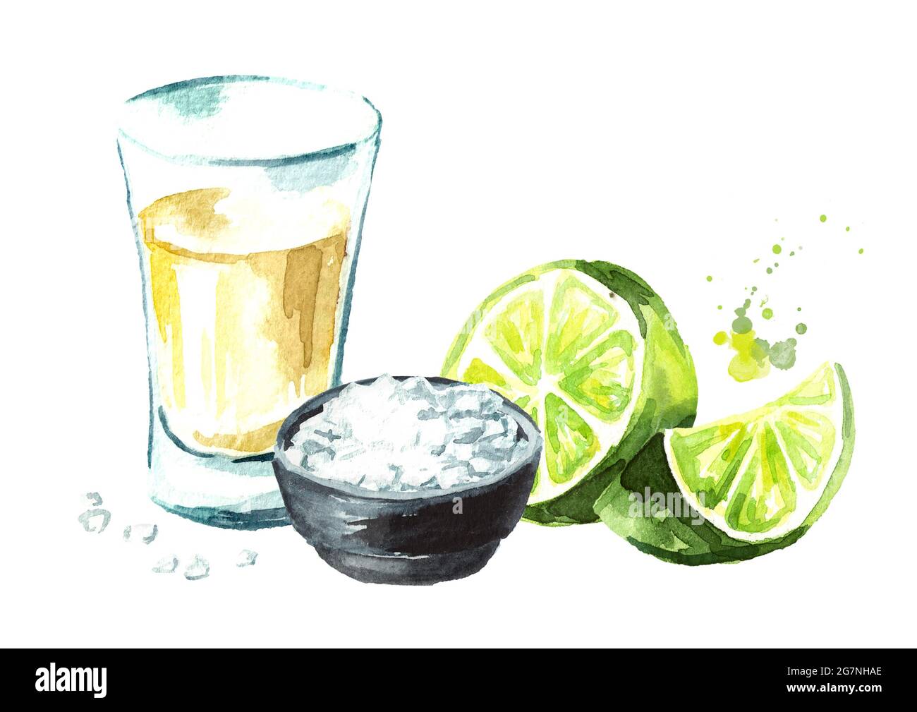 Tequila shot with lime and salt. Hand drawn watercolor illustration ...