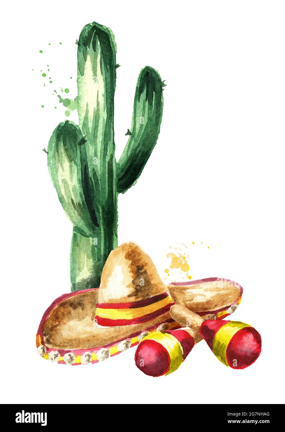 Cinco de Mayo hat Sombrero, Mexican maracas and green cactus ...
