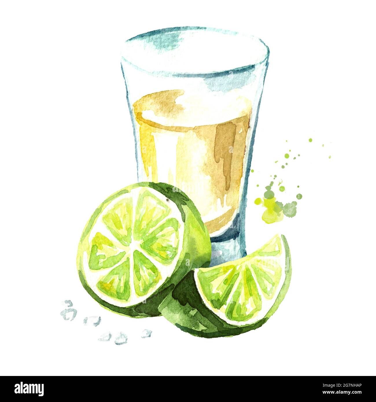 Tequila shot with lime and salt. Hand drawn watercolor vertical ...