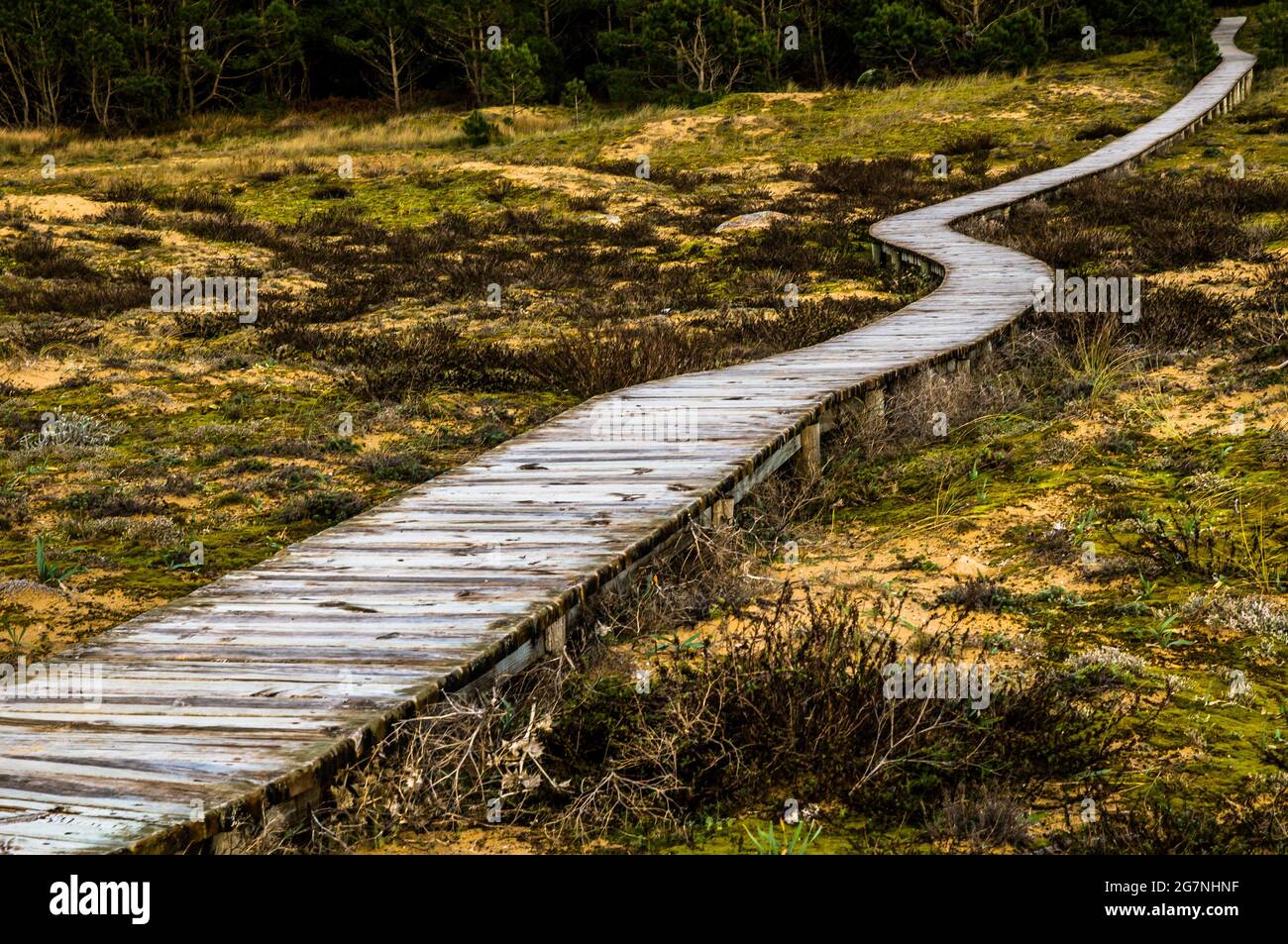 Walk way boardwalk path nature hi-res stock photography and images - Alamy