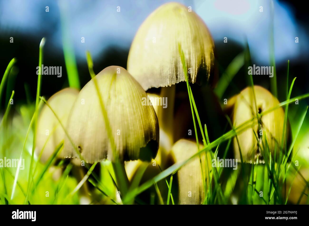 Low perspective hi-res stock photography and images - Alamy