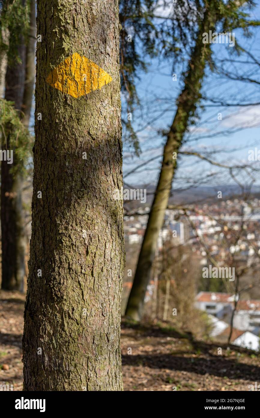 Painted yellow signpost on tree in woodland. blue sky and small town ...