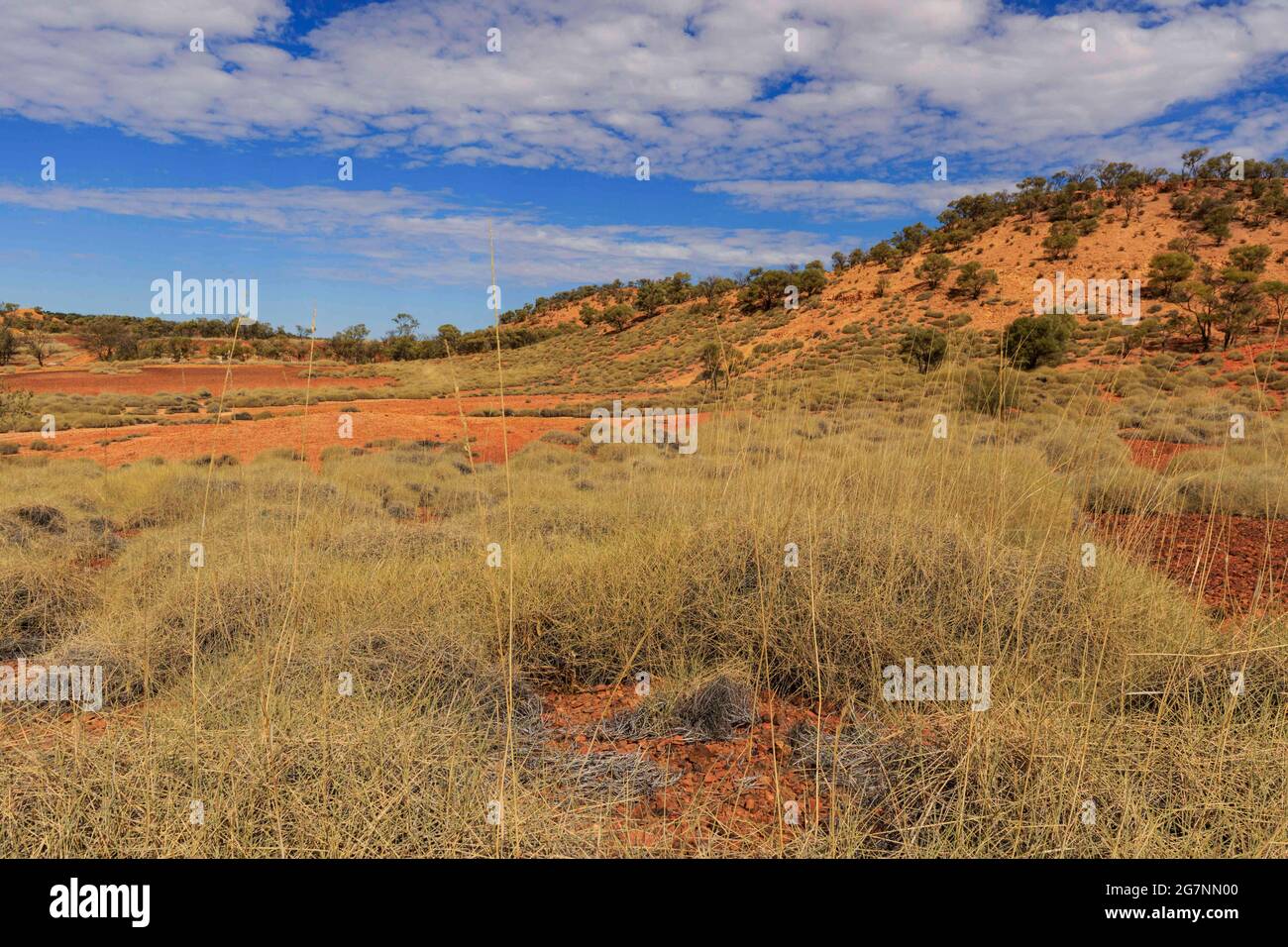 Lark quarry dinosaur australia hi-res stock photography and images - Alamy