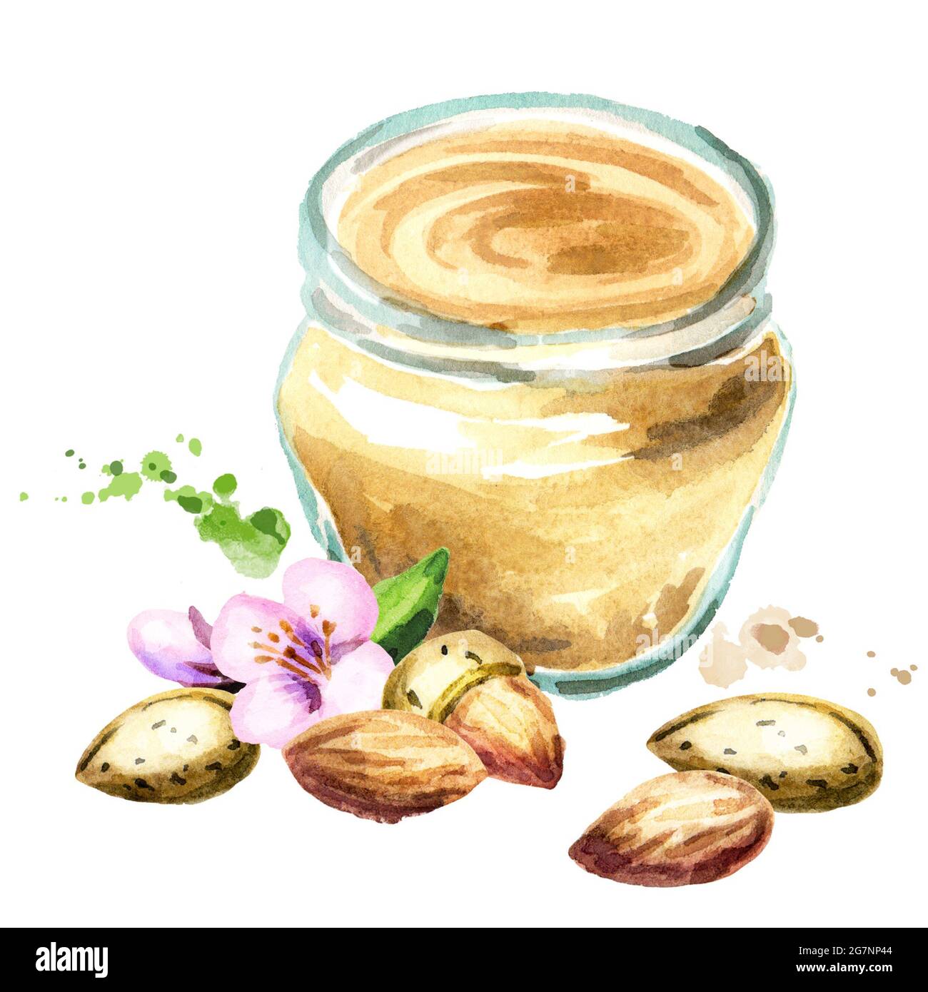Almond paste. Watercolor hand drawn illustration Stock Photo - Alamy