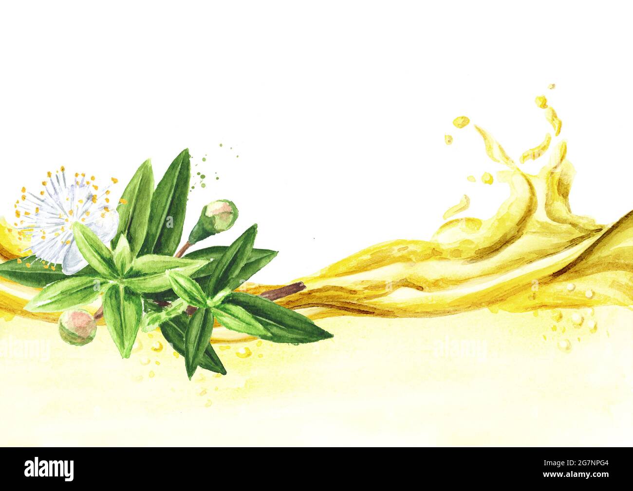 Sprig of medicinal plant Myrtle and bottle of essential oil wave ...