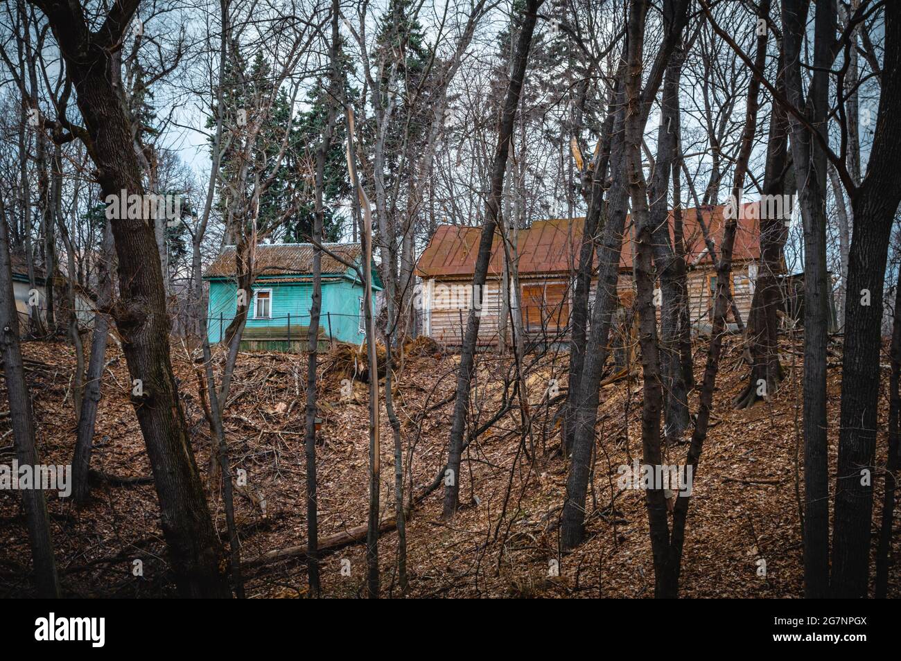 Old wooden houses amid clusters of trees in the city of Moscow, Russia ...