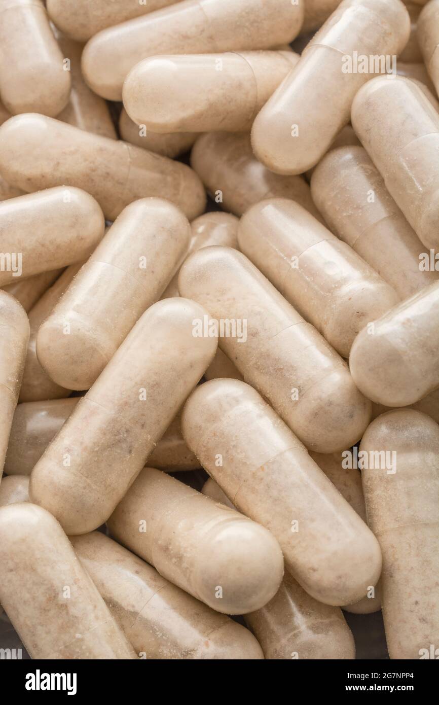 Boswellia serrata tree hi-res stock photography and images - Alamy