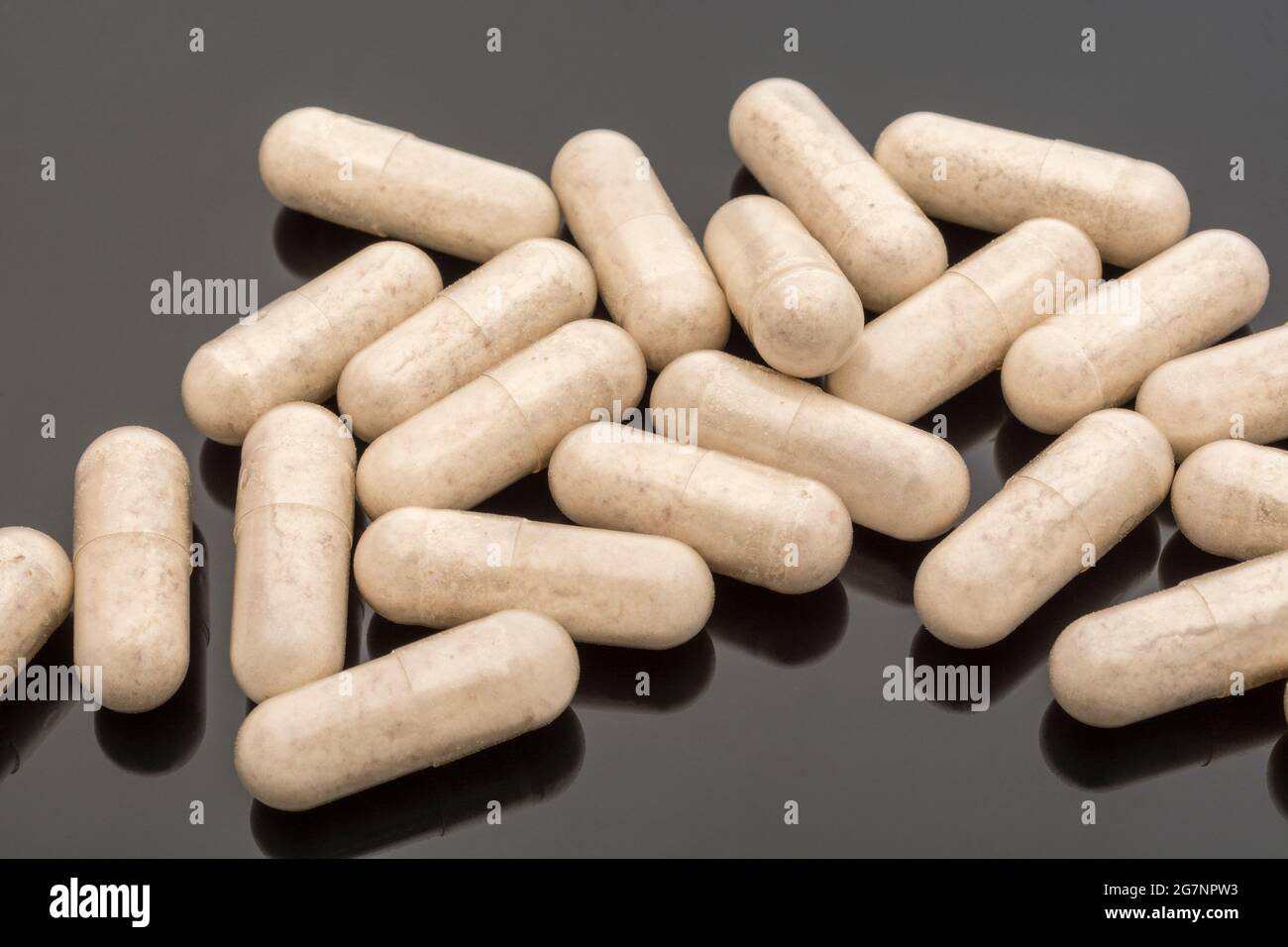 Indian frankincense tree hi-res stock photography and images - Alamy