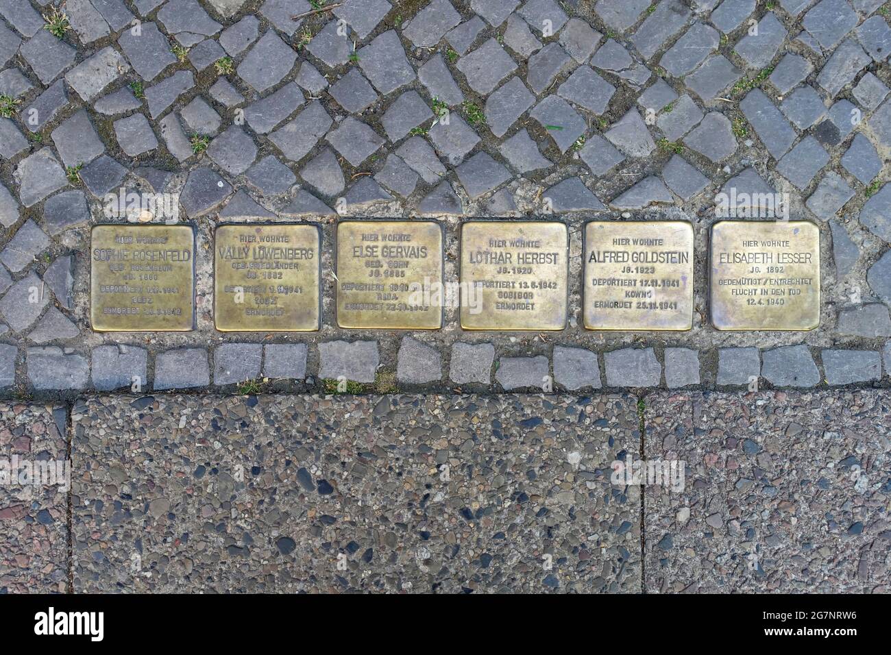 Stolpersteine stumbling blocks in pavement hi-res stock photography and ...