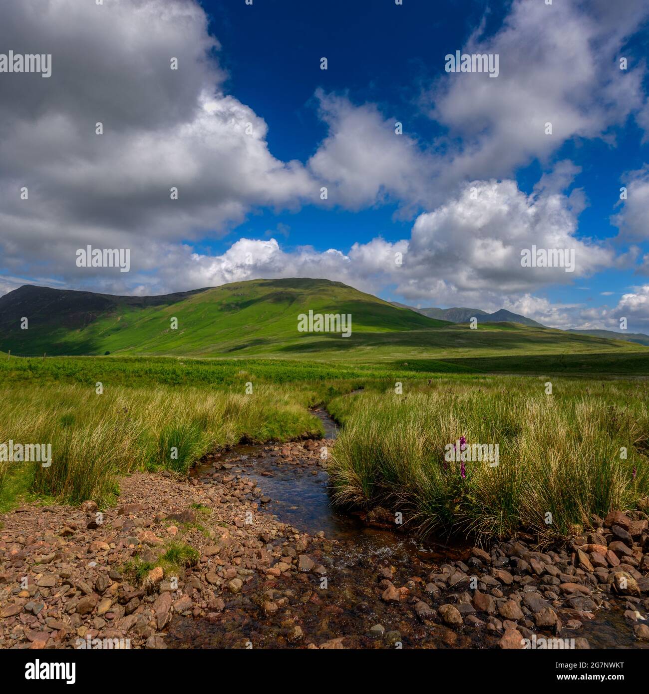 Loweswater Mellbreak Rural High Resolution Stock Photography and Images ...