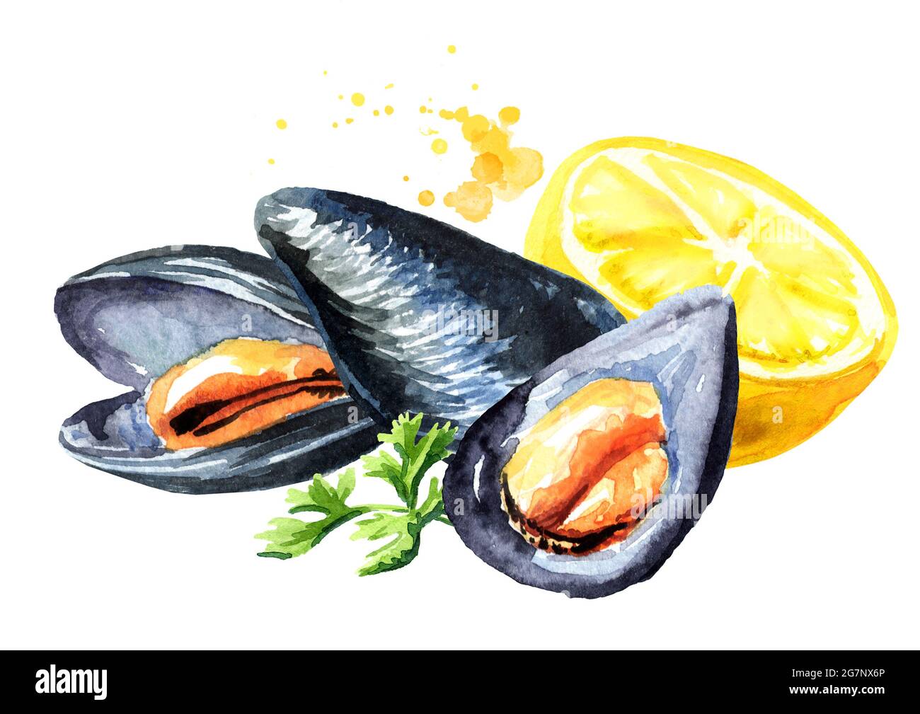Mussels with lemon and herb, seafood, Watercolor hand drawn ...
