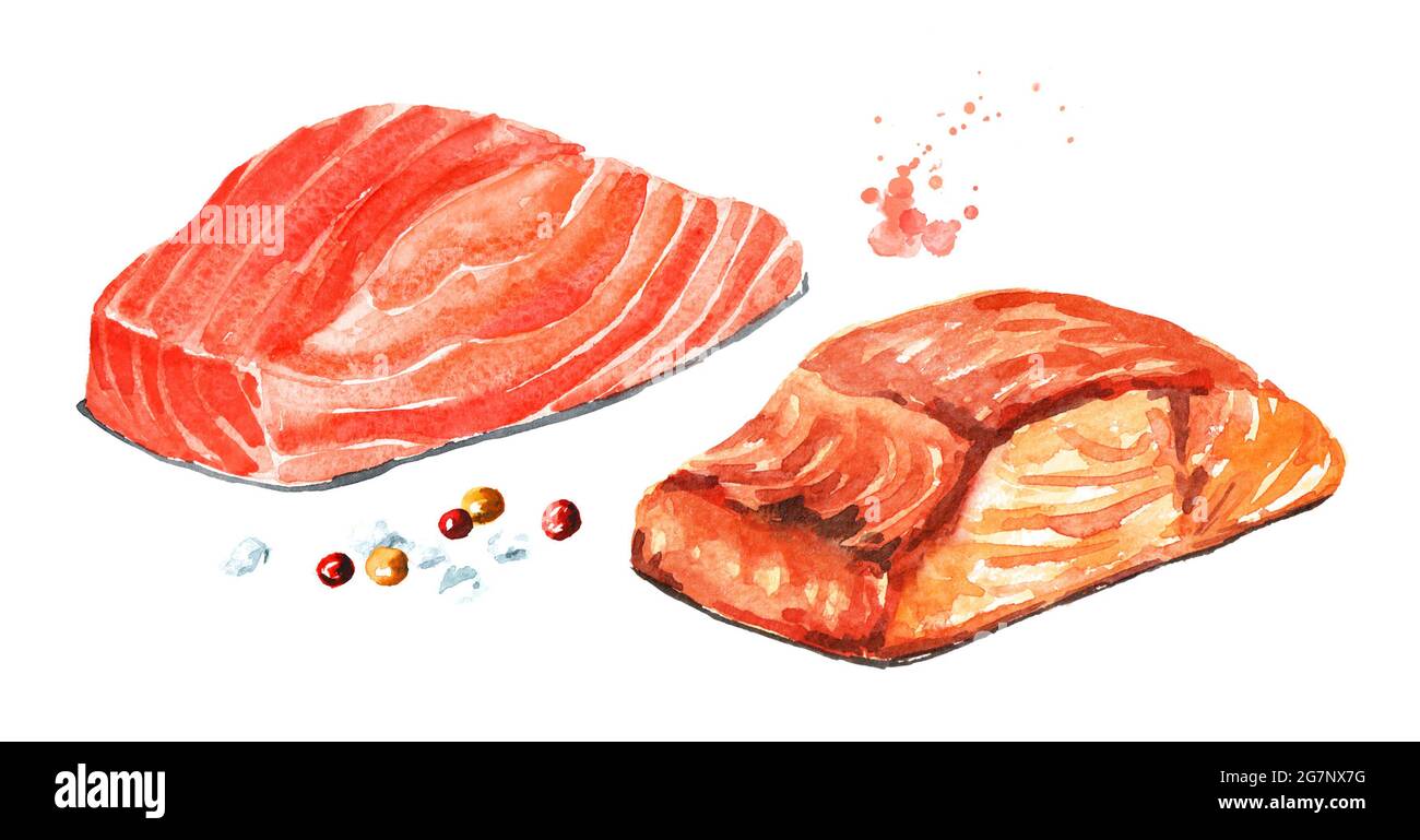 Salmon fish fillet, raw and grilled. Watercolor hand drawn illustration ...