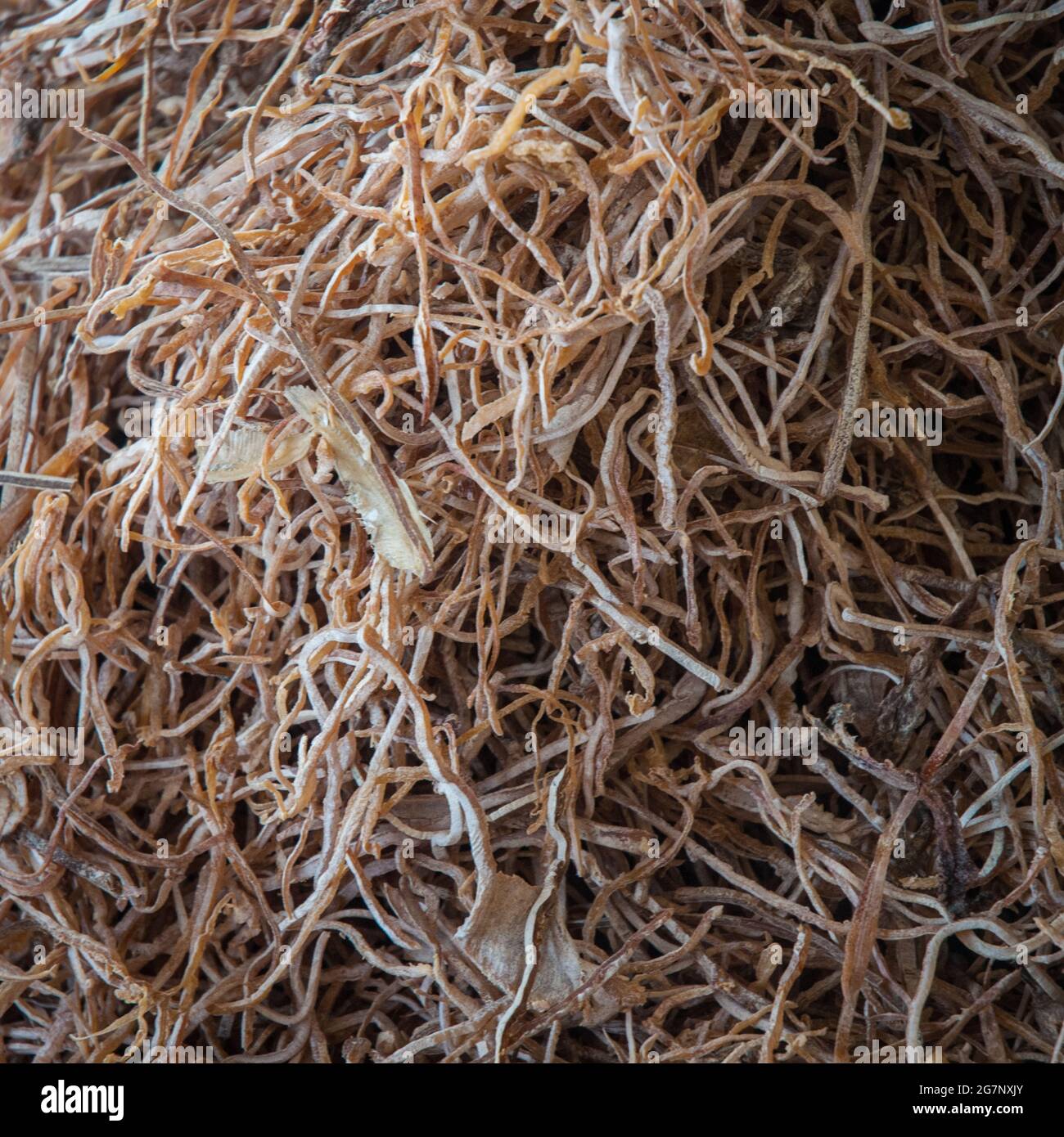 Paper filler abstract hi-res stock photography and images - Alamy