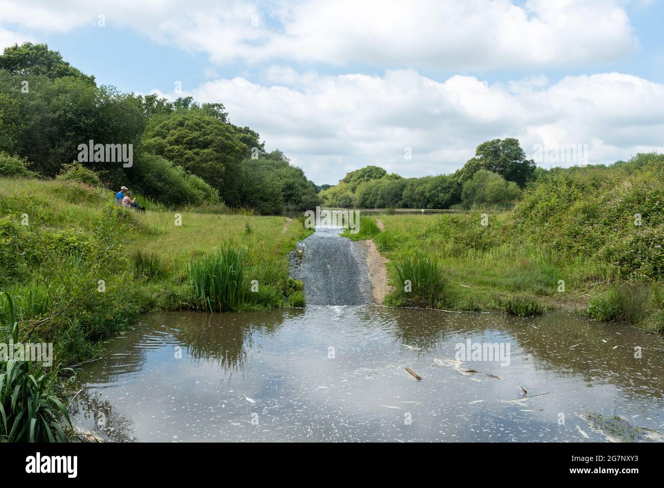 Knepp estate wildland hi-res stock photography and images - Alamy