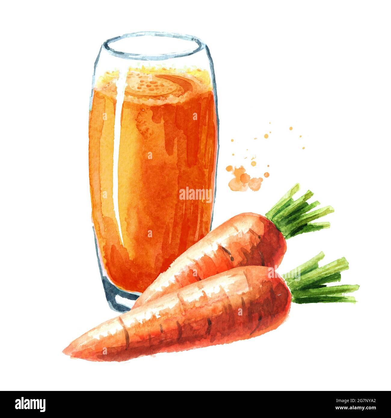 Fresh healthy carrot juice in glass. Watercolor hand drawn illustration ...