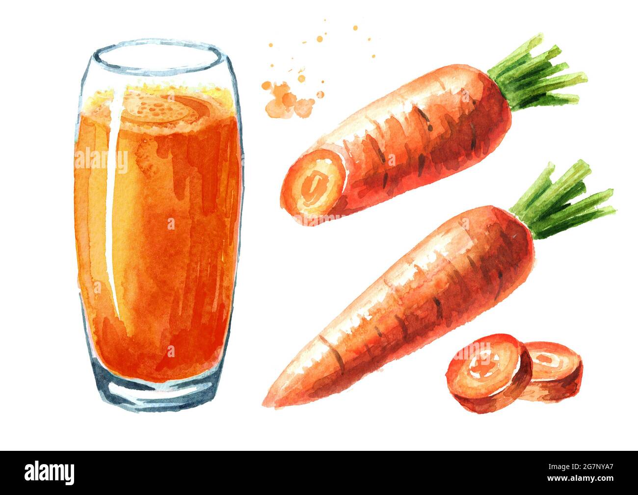 Fresh healthy carrot juice set. Watercolor hand drawn illustration ...