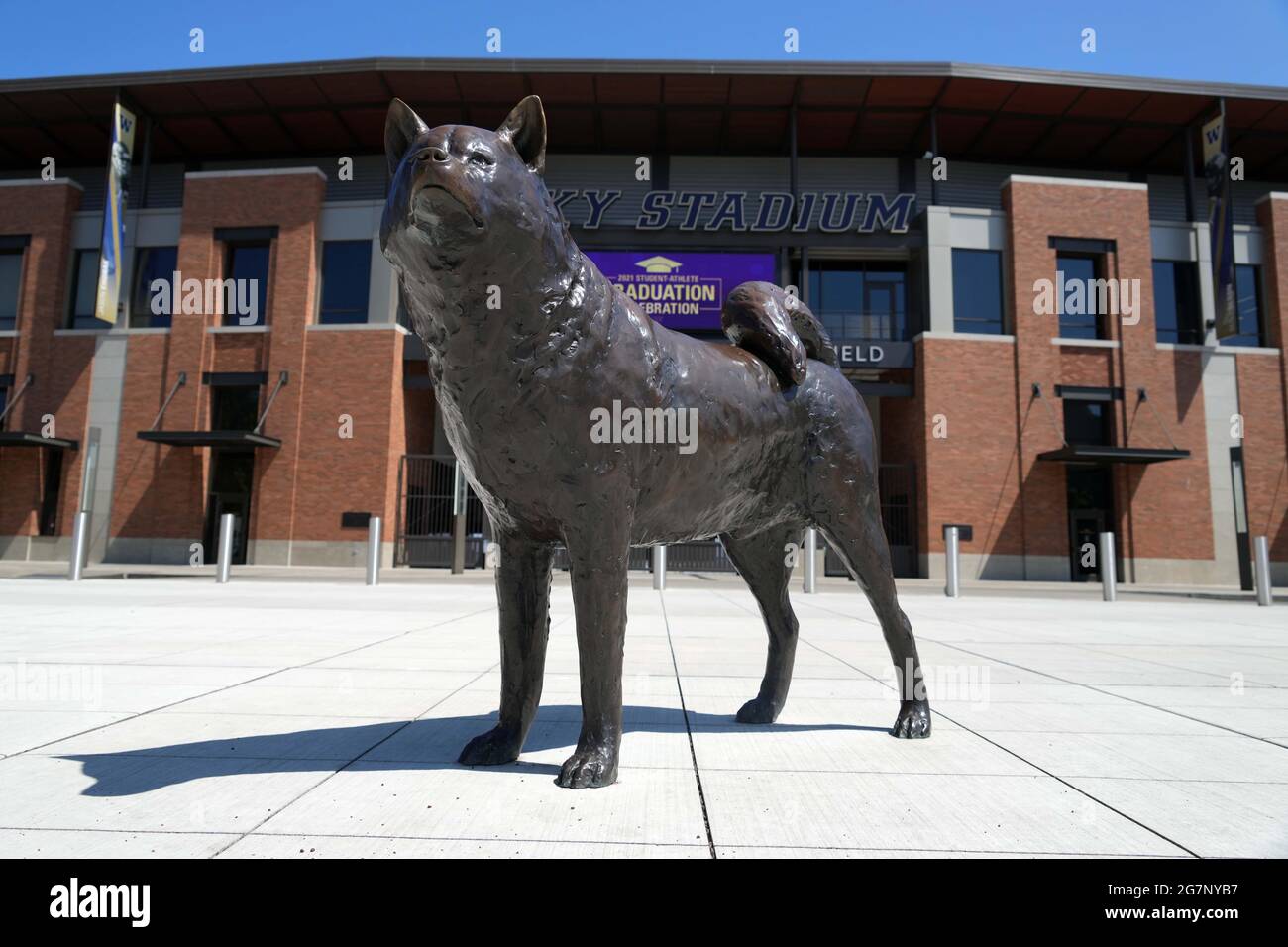 A general view of Husky dog statue at the Dawg Pack entrance to Husky ...