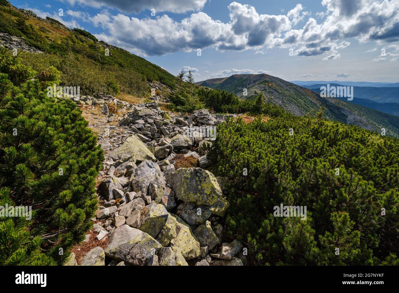 Stony gorgany massif hi-res stock photography and images - Alamy
