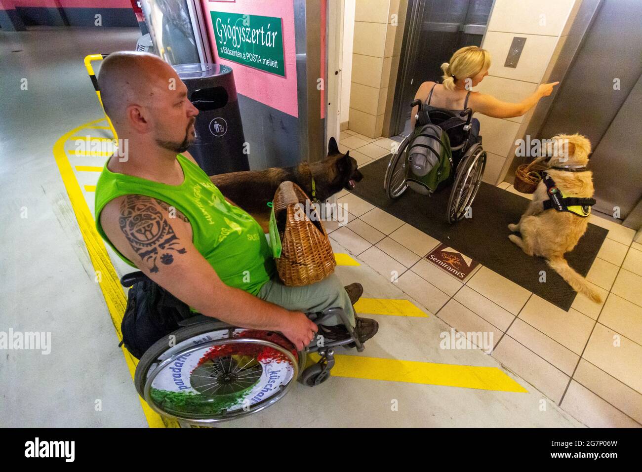 Daily life in a wheelchair Stock Photo - Alamy