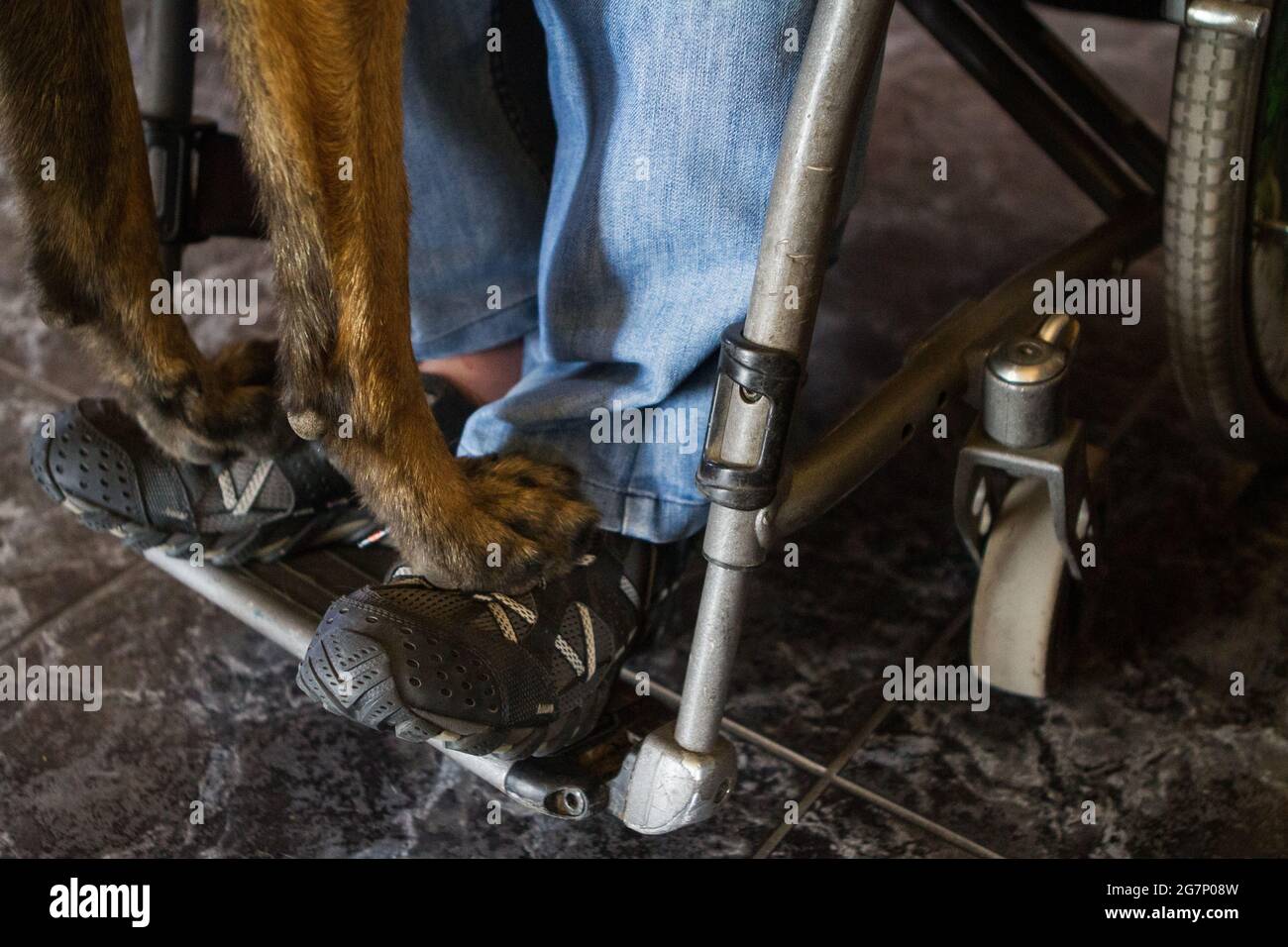 Daily life in a wheelchair Stock Photo - Alamy