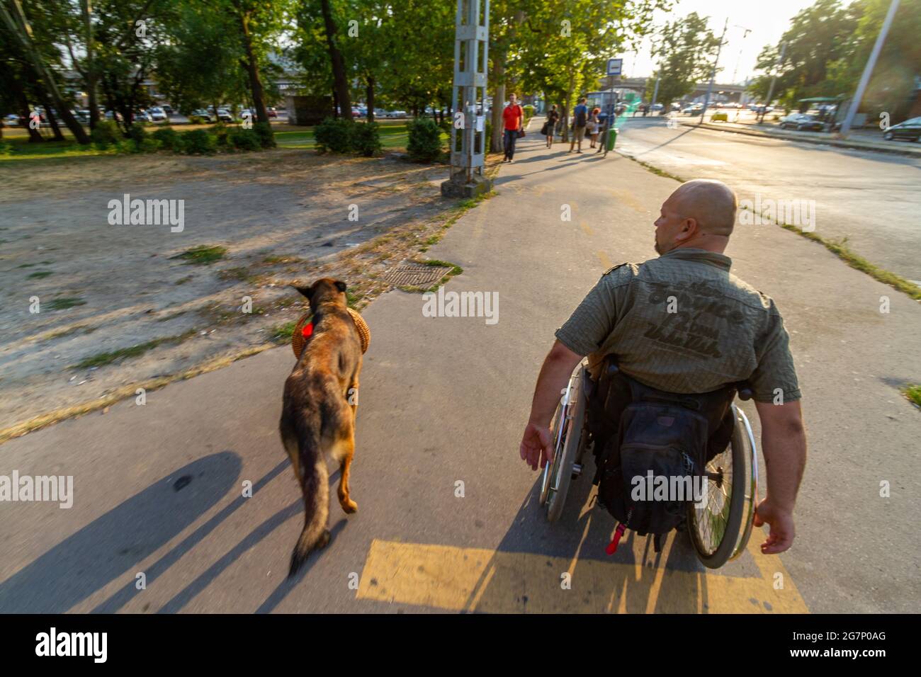 Daily life in a wheelchair Stock Photo - Alamy