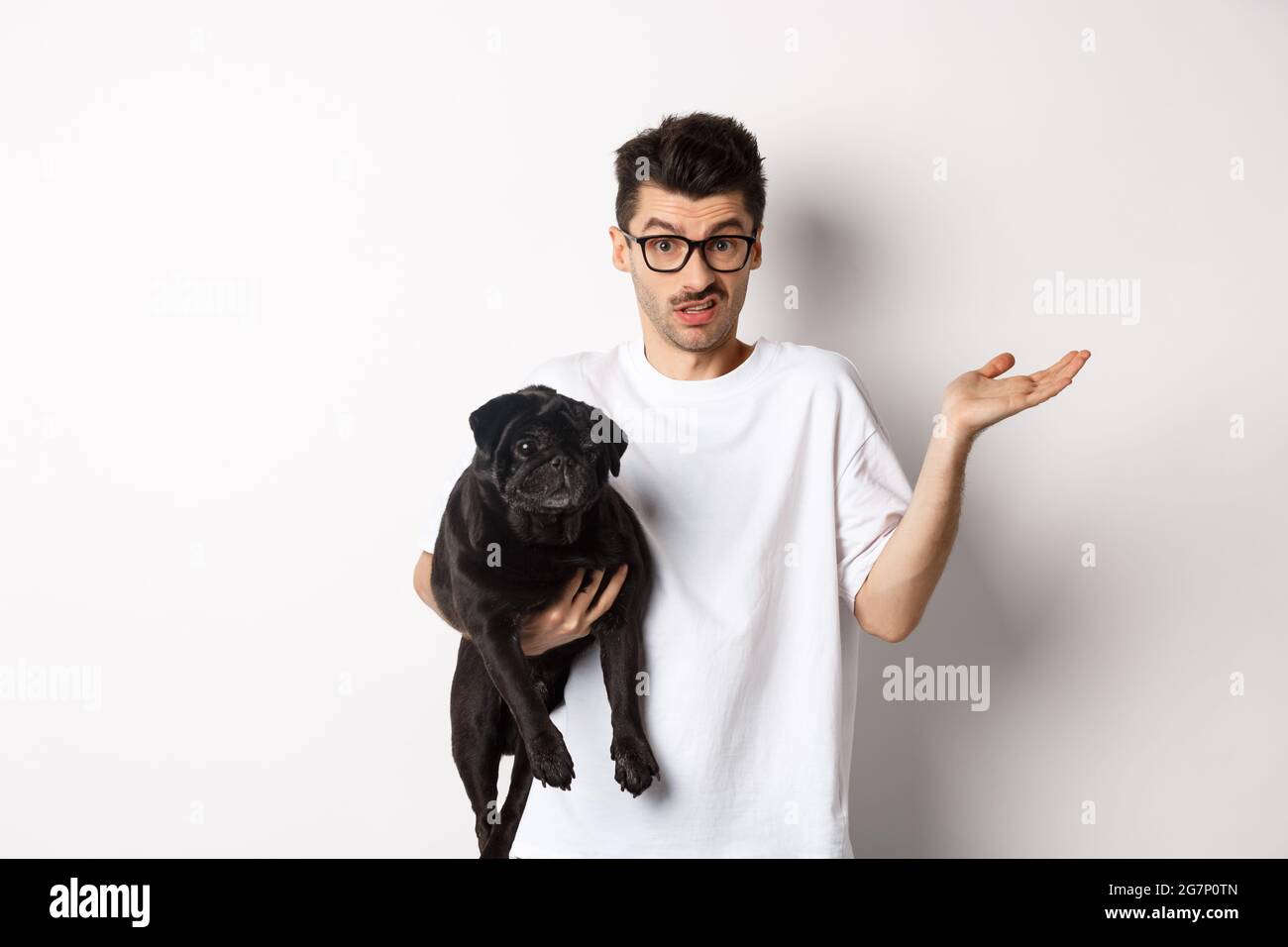 Image of confused dog hi-res stock photography and images - Alamy