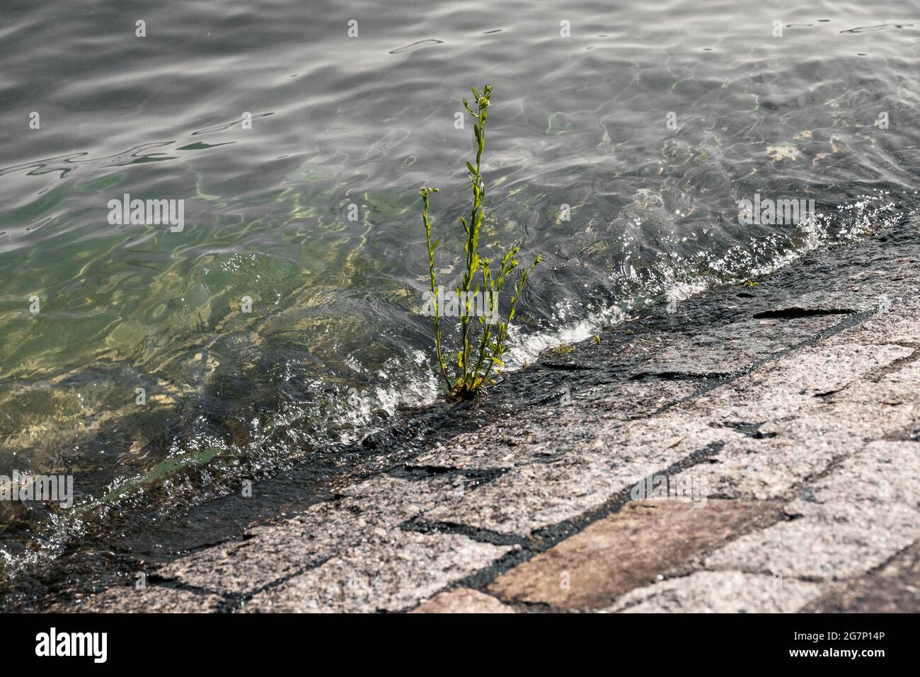 Beautiful view of Lake Constance in Constance, Germany Stock Photo - Alamy