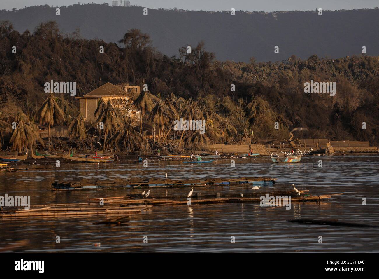 Damaged houses and trees are seen covered in volcanic ash following the ...