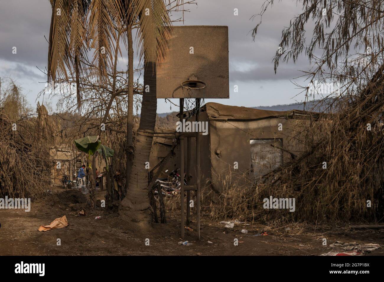 Damaged houses and trees are seen covered in volcanic ash following the ...