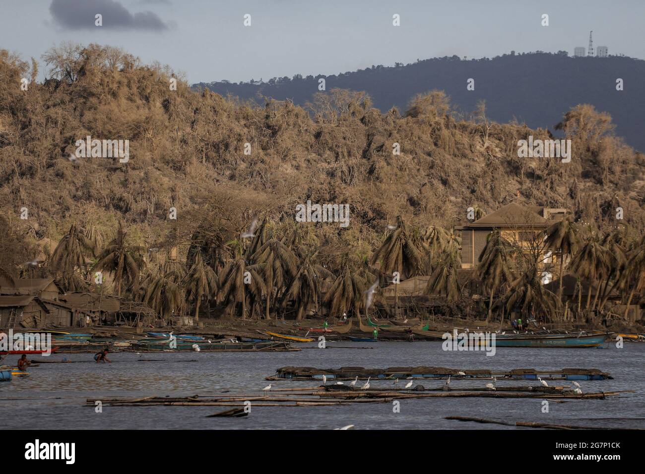 Damaged houses and trees are seen covered in volcanic ash following the ...