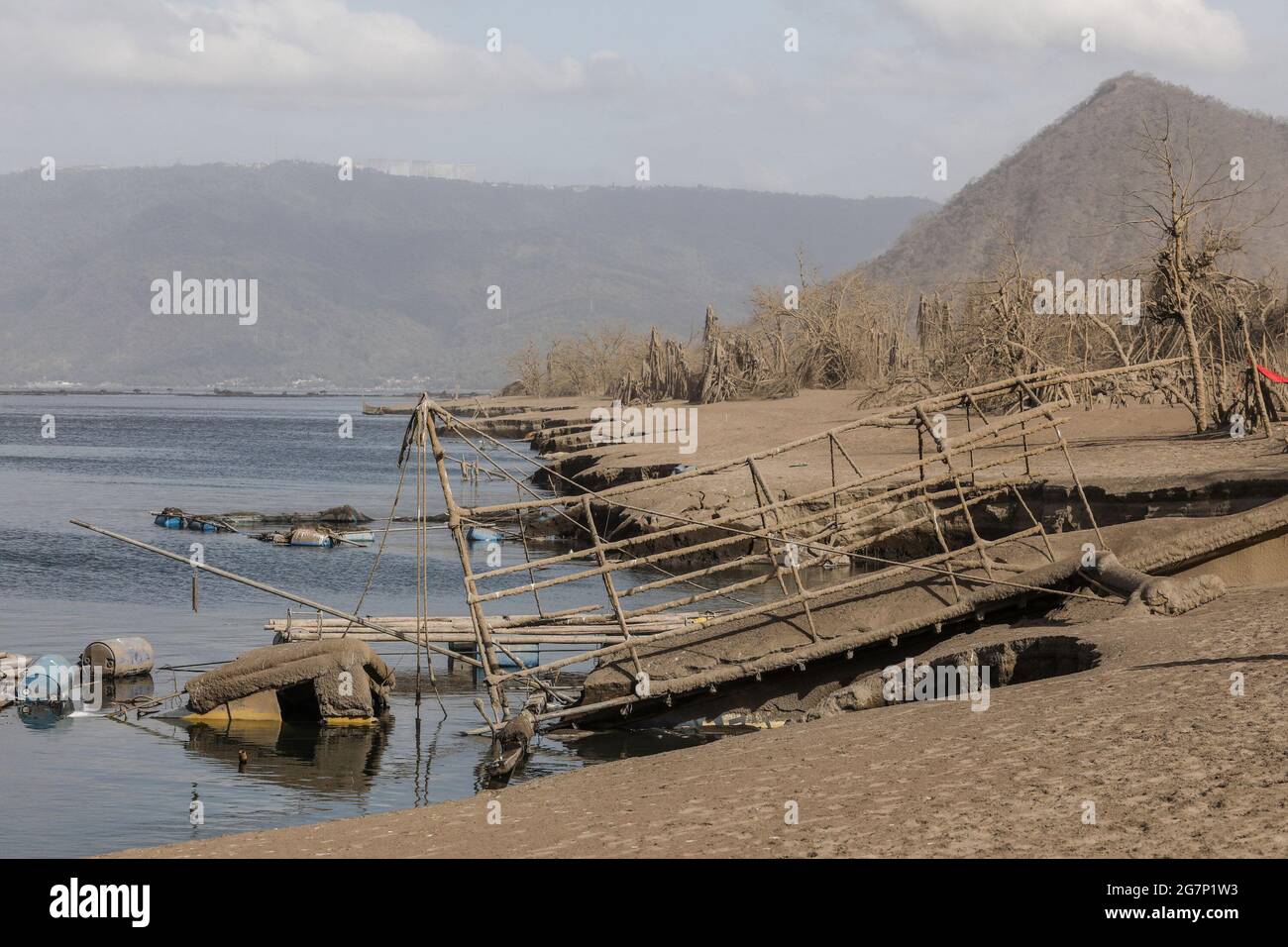 Damaged houses and trees are seen covered in volcanic ash following the ...
