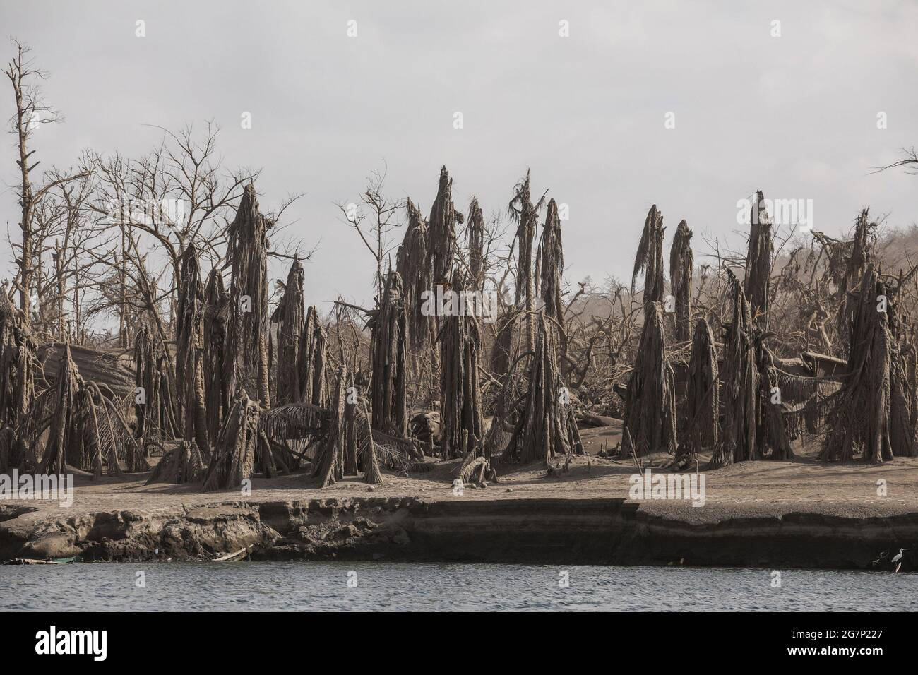 Damaged houses and trees are seen covered in volcanic ash following the ...