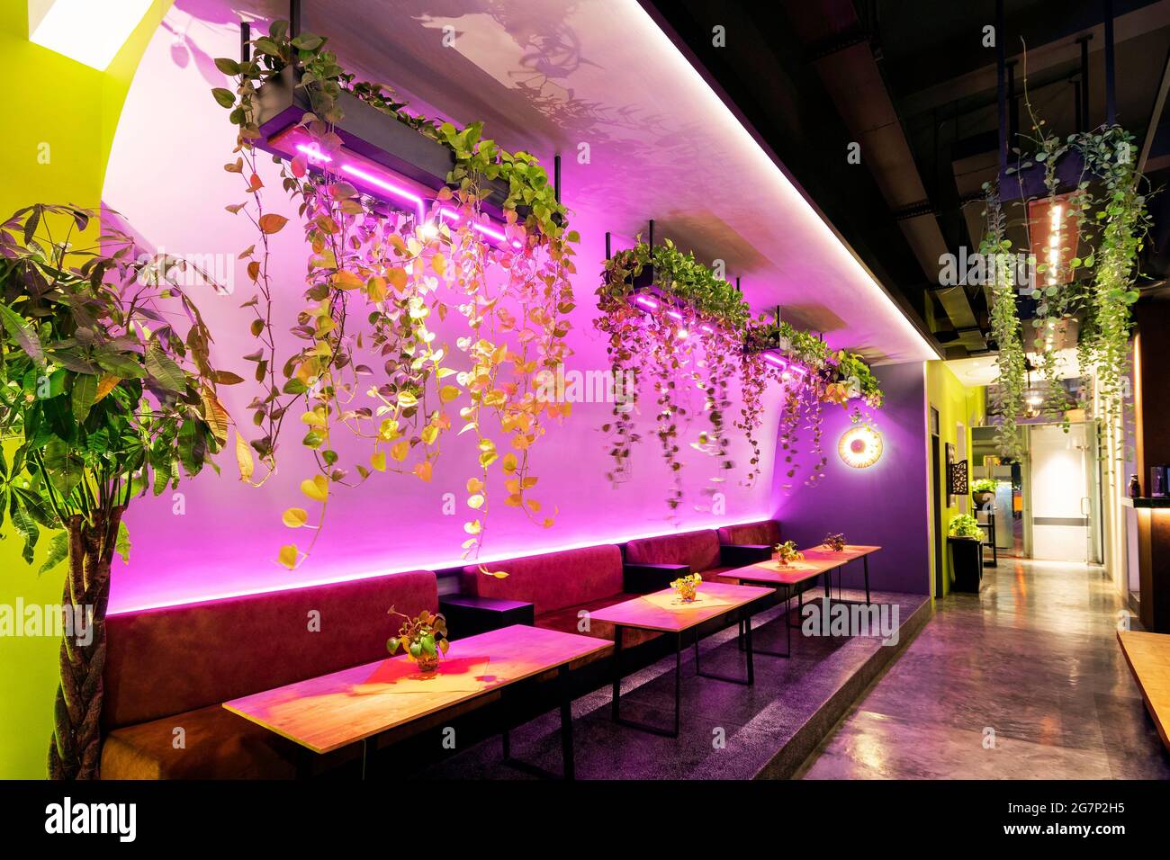 Plant Restaurant Decoration Ideas