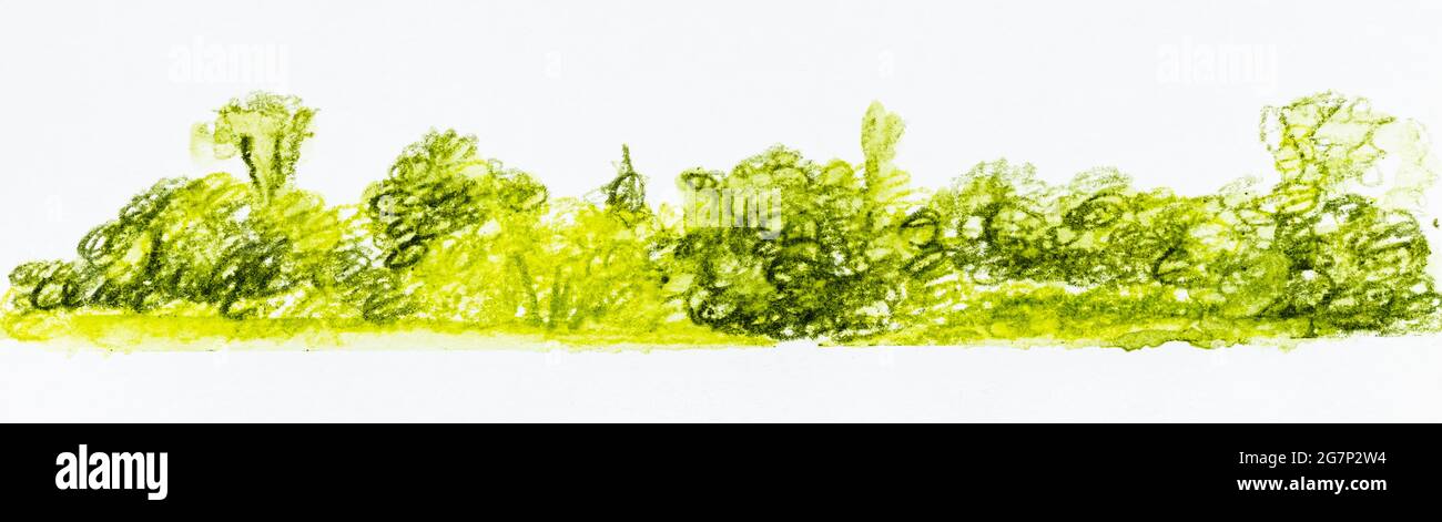 sketch of green bushes on summer day hand-drawn by watercolor pencils ...