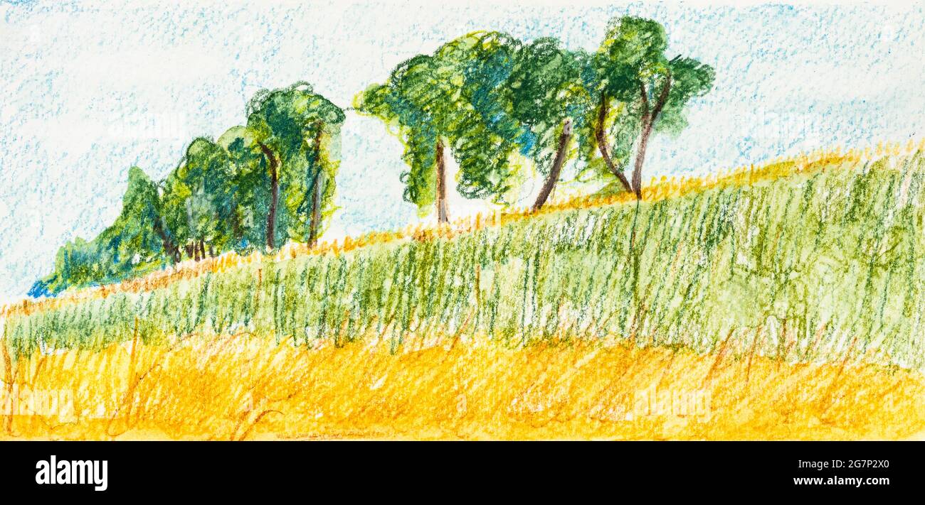 sketch of summer landscape with trees on hill and field on sunny day ...