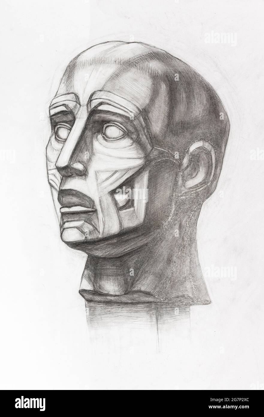 Anatomical drawing of head hi-res stock photography and images - Alamy