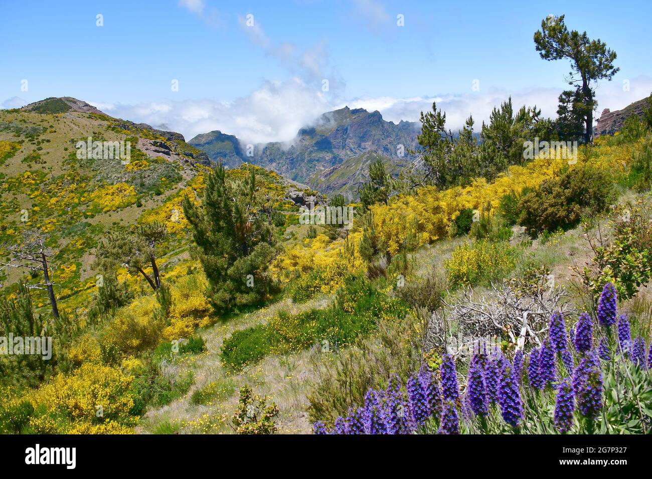 Pico do Arieiro, Pico do Areeiro, Madeira, Portugal, Europe Stock Photo ...