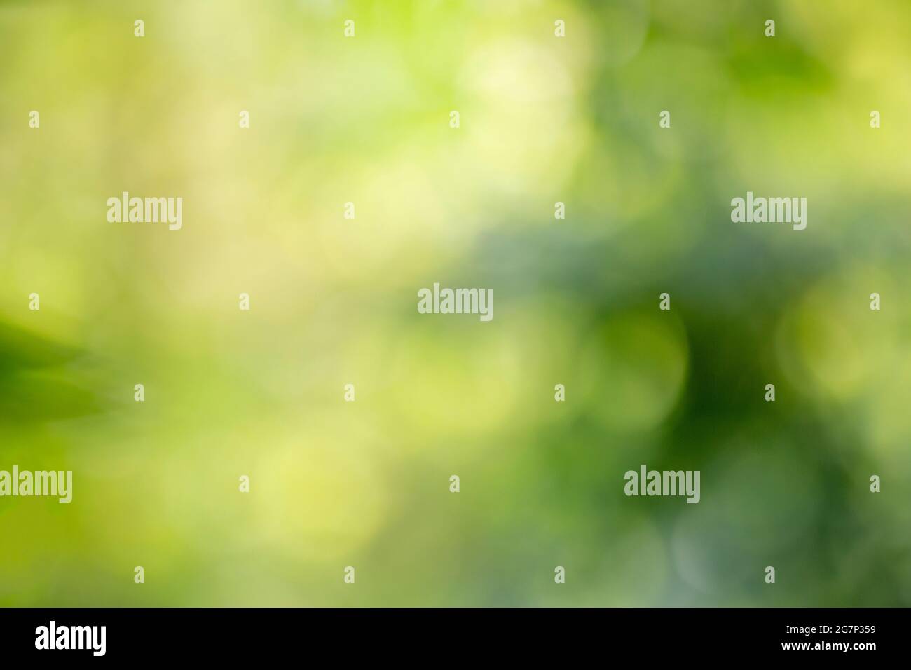 Blurry wallpaper in green tones Stock Photo - Alamy