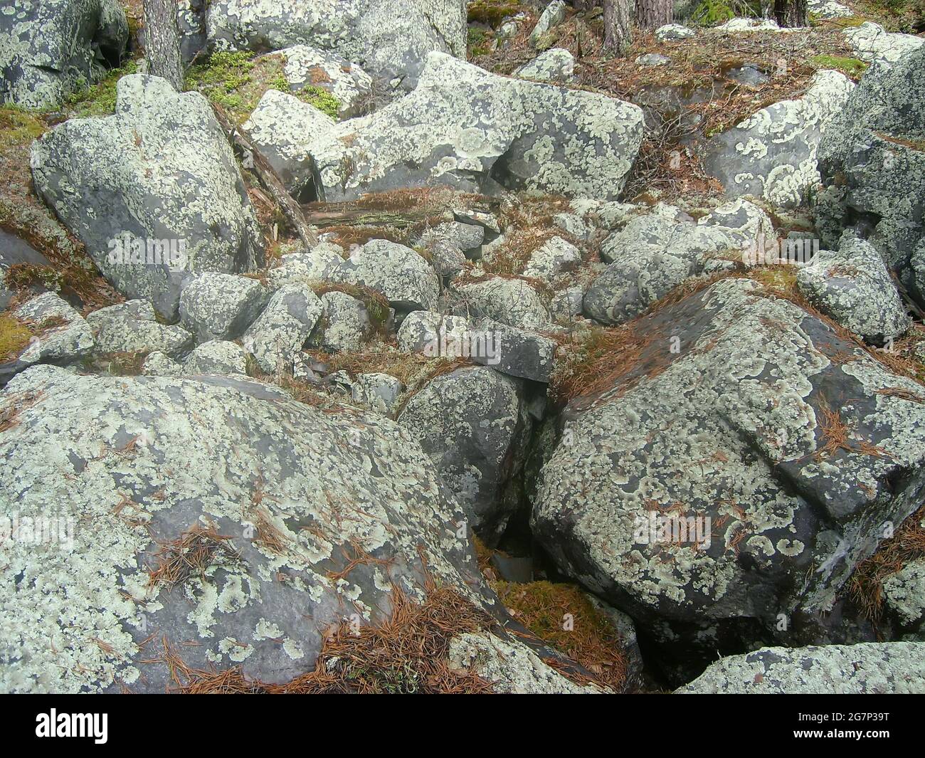 Stones and rocks with moss in Finland Stock Photo - Alamy