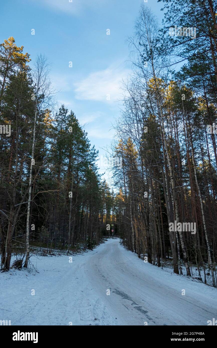 Snowing on forest road dusk hi-res stock photography and images - Alamy