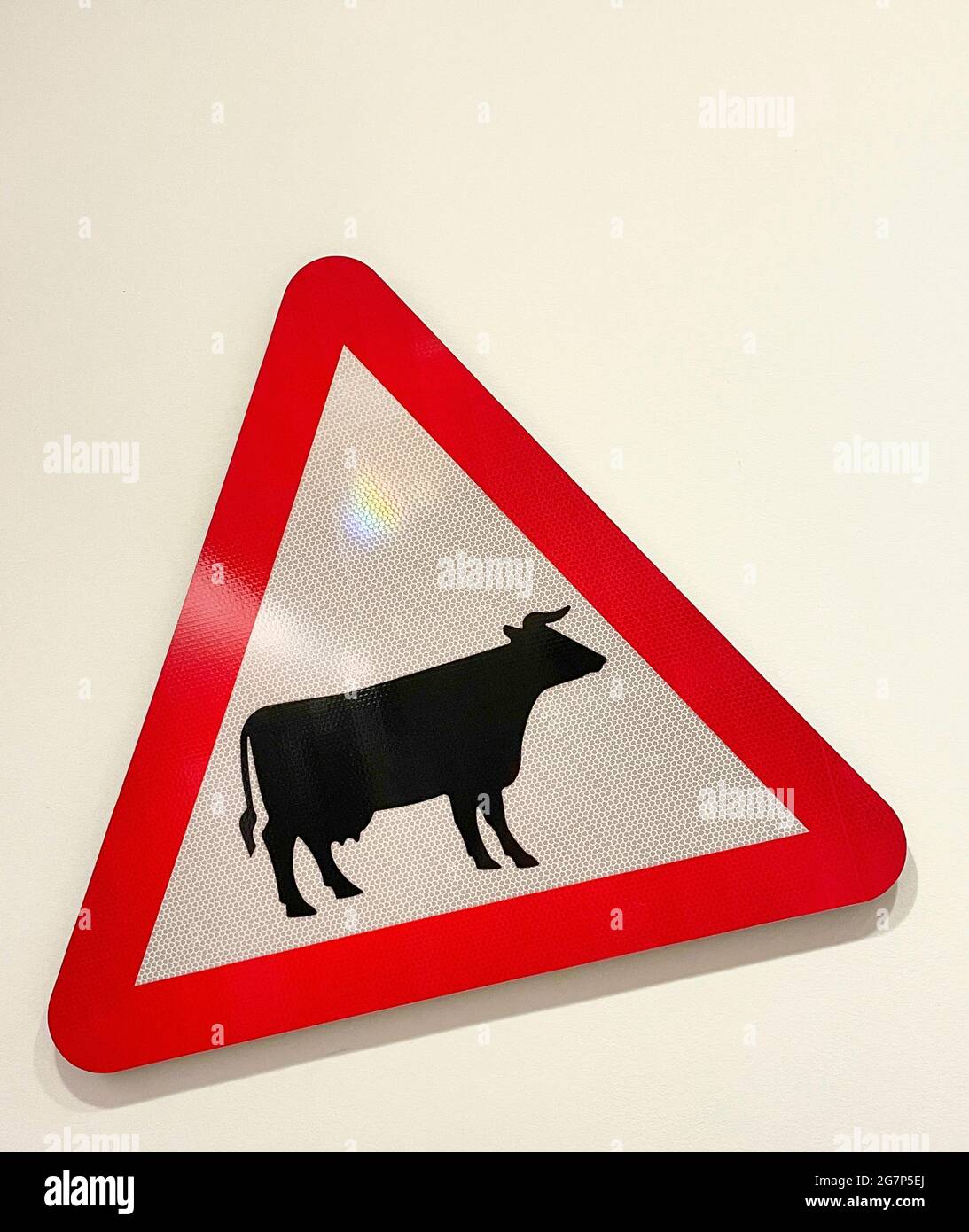 Cattle Crossing Traffic sign Stock Photo - Alamy