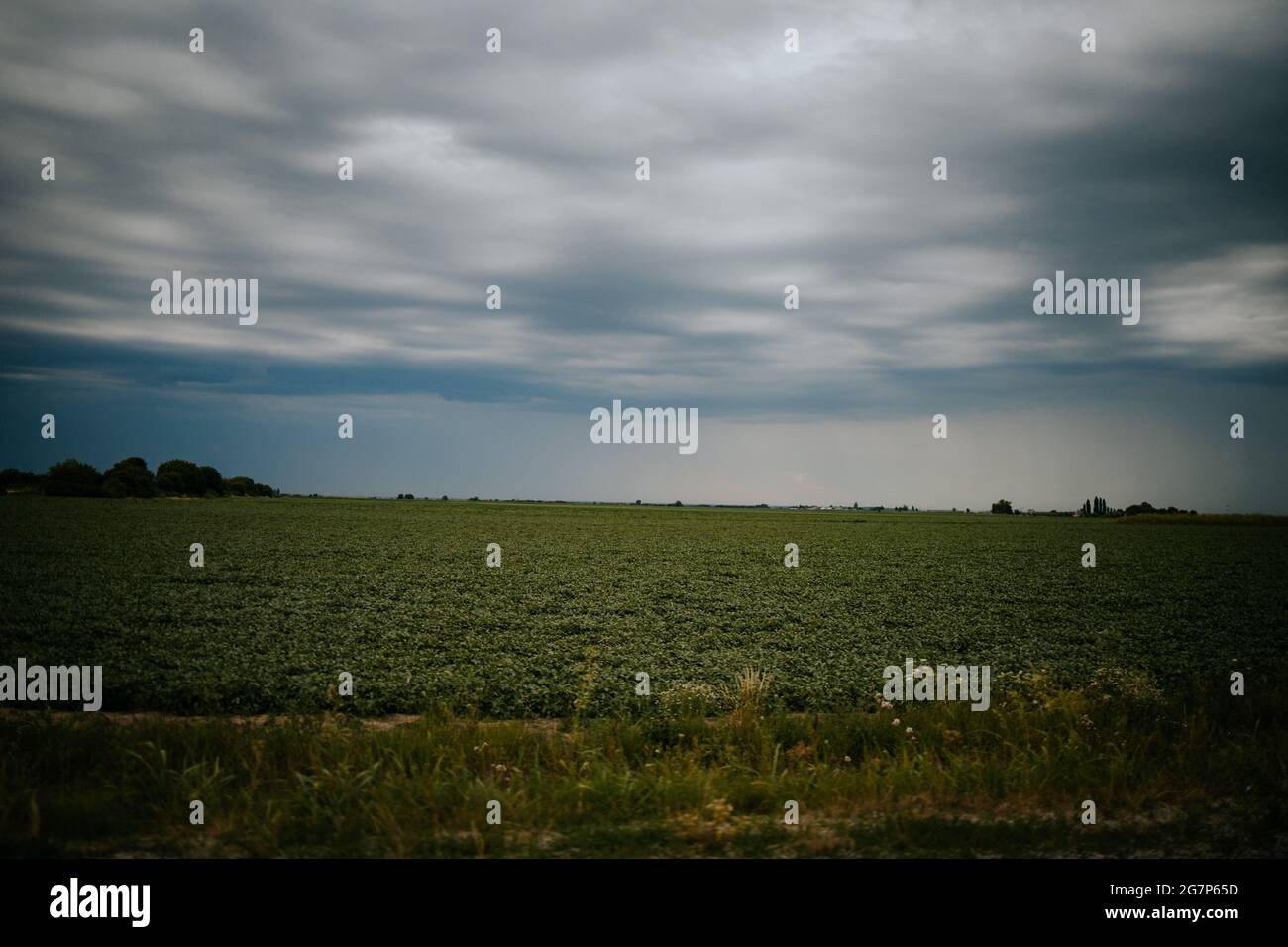 Beautiful big grass field under the bright blue cloudy sky on a chilly ...