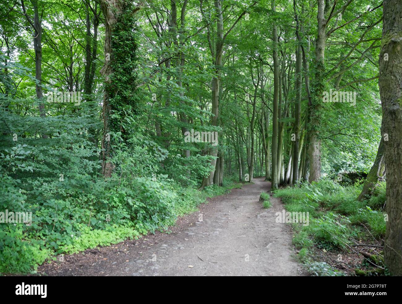 Cloudy over Linacre Reservoir in Cutthorpe, Chesterfield Stock Photo ...