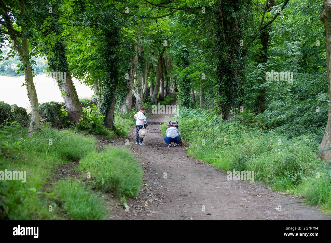 Linacre reservoir hi-res stock photography and images - Alamy