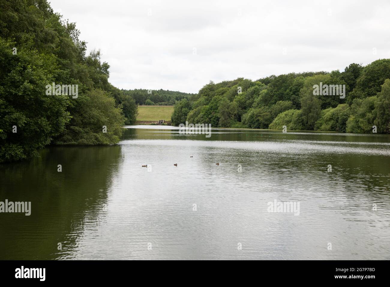 Linacre reservoir hi-res stock photography and images - Alamy